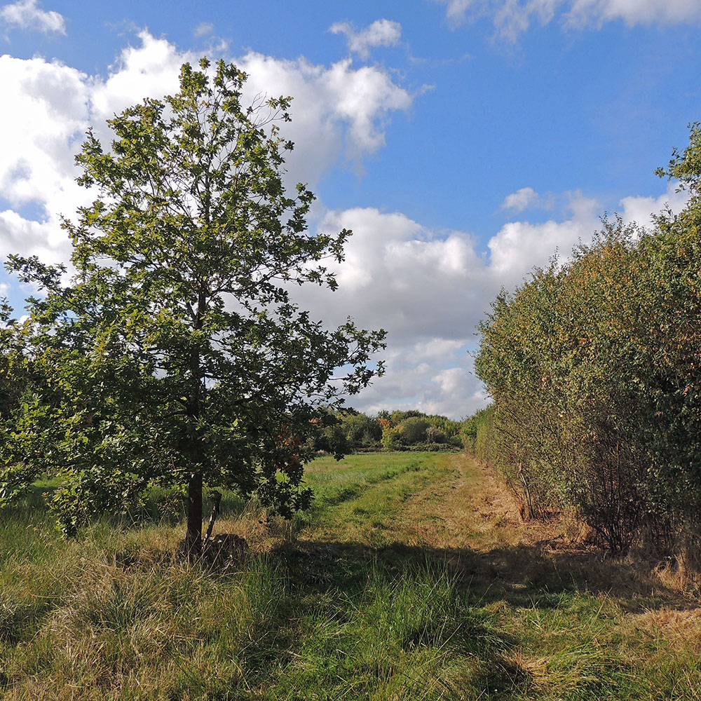 An Update on Gavray Drive